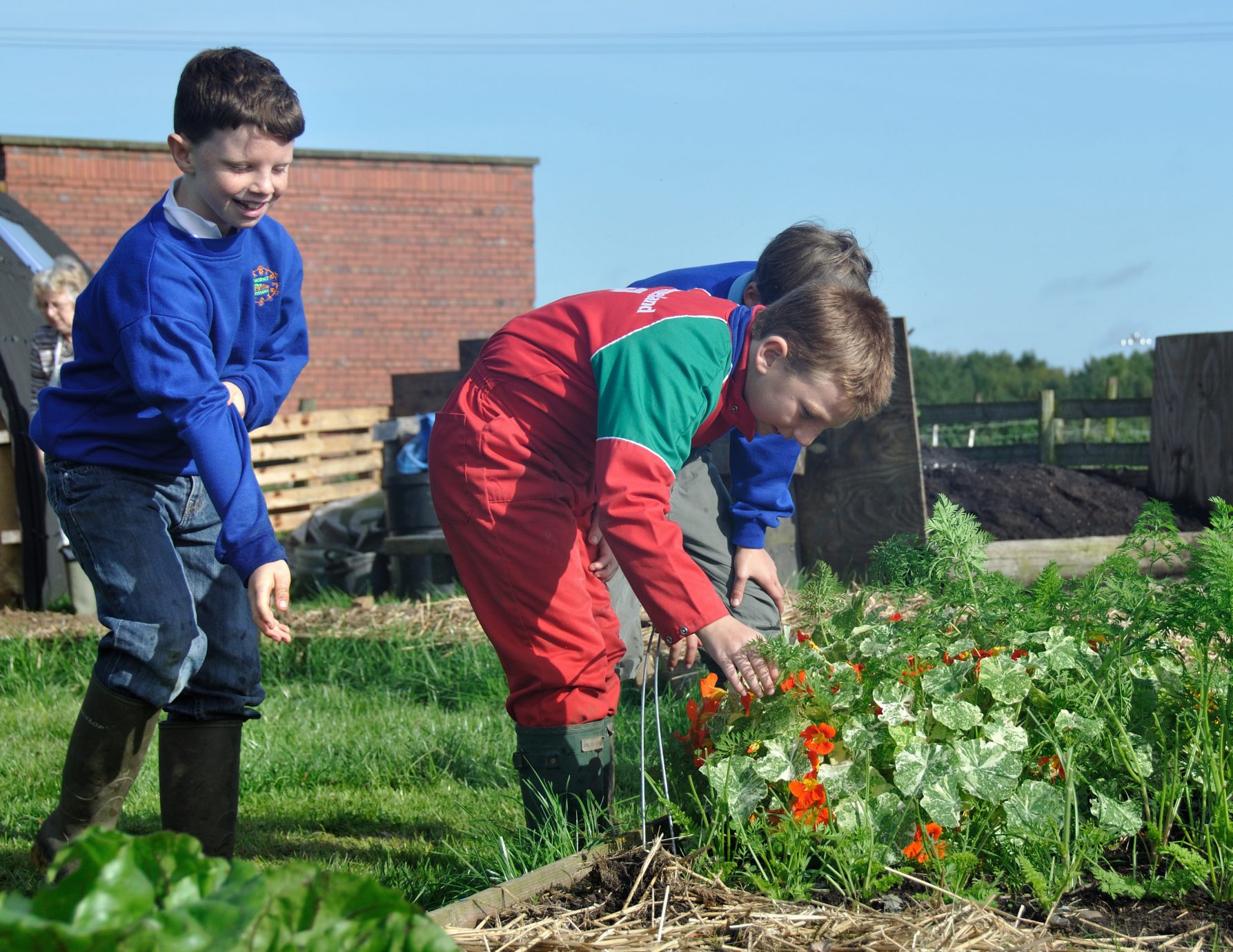 Fordhall’s growing scope | What's What Magazine