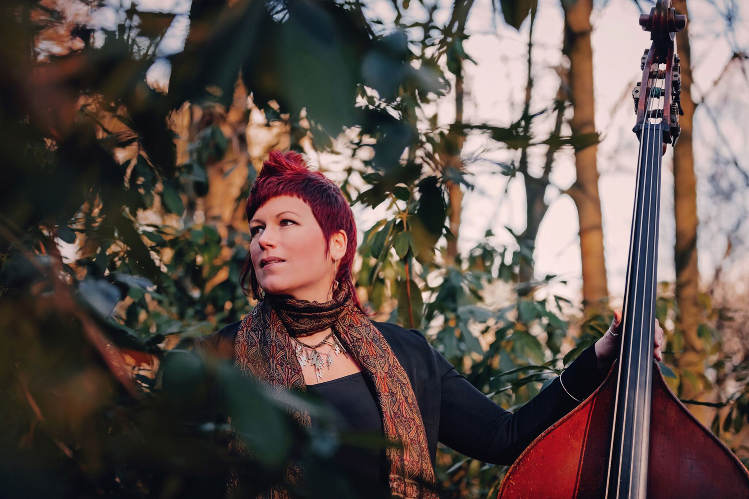 Borrowed Places in Broseley | What's What Magazine