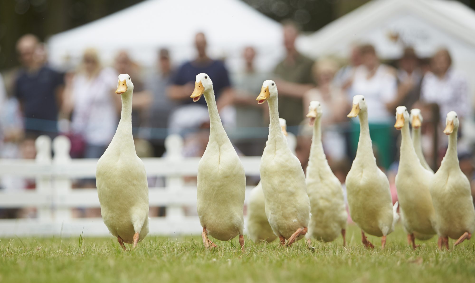 Newport’s heady mix | What's What Magazine