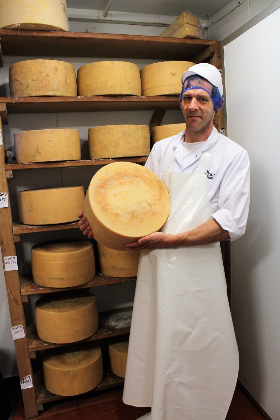 Extinct cheese resurrected | What's What Magazine