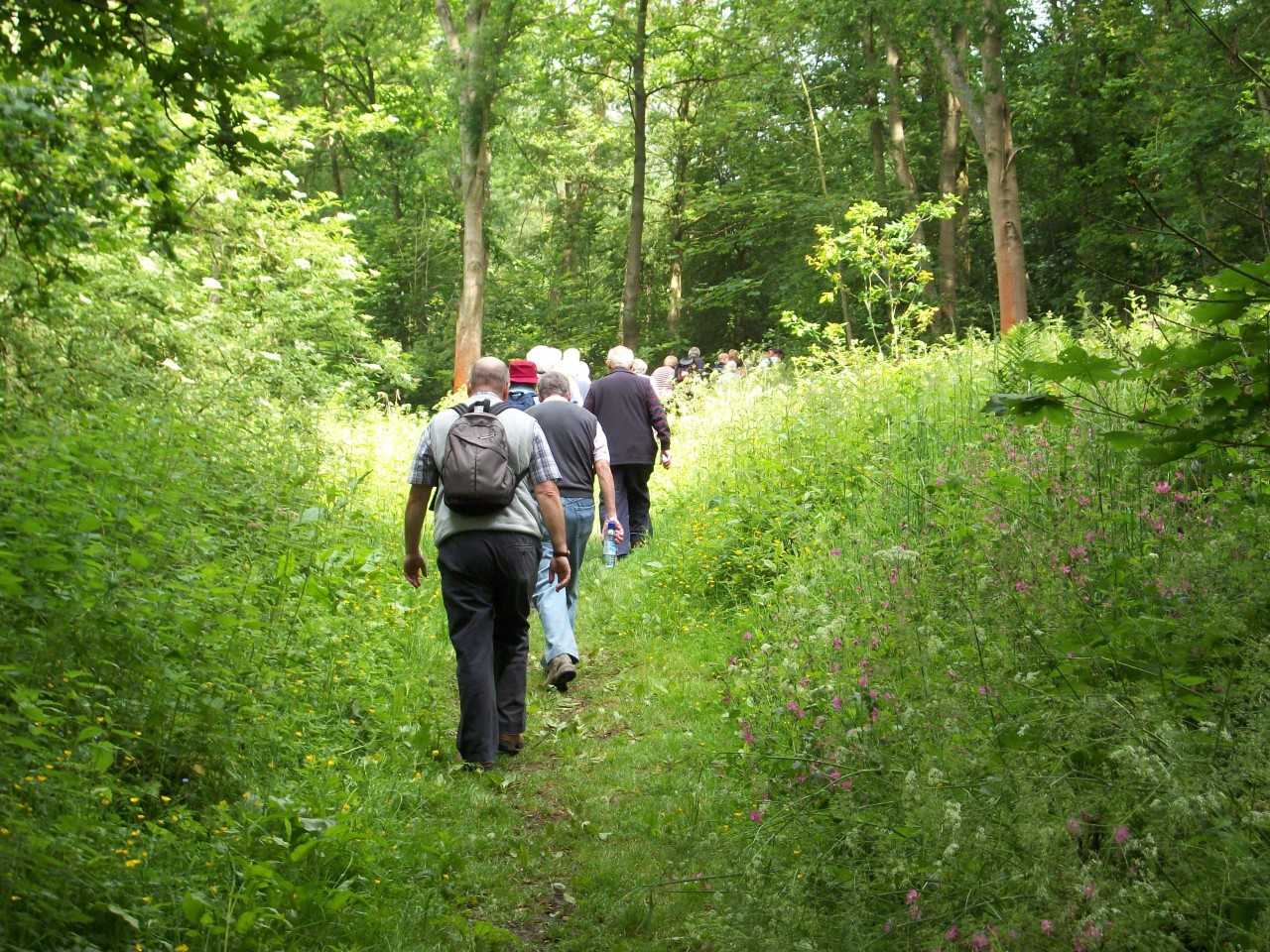 Local walks for March and April | What's What Magazine