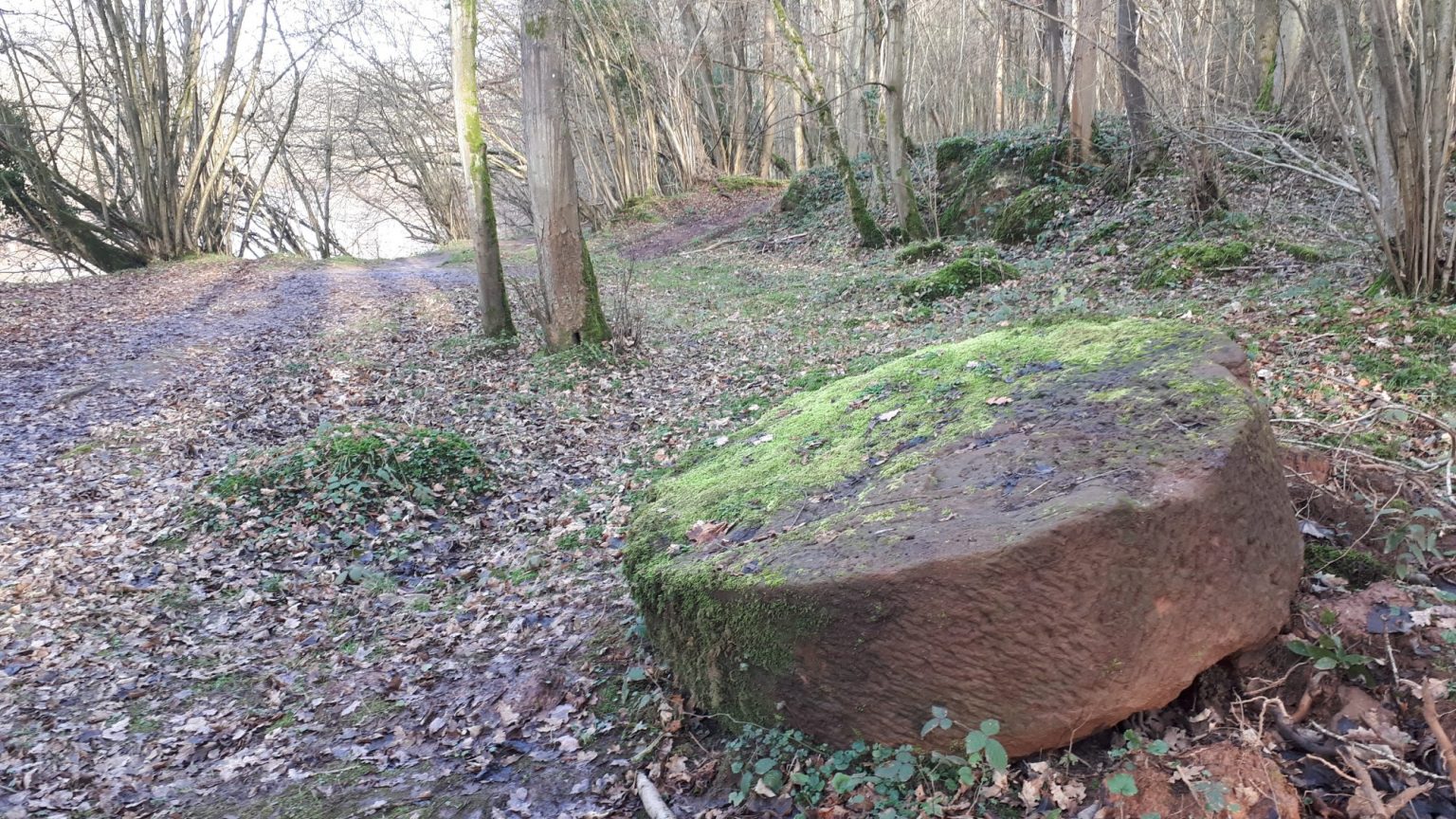 Life in sandstone | What's What Magazine
