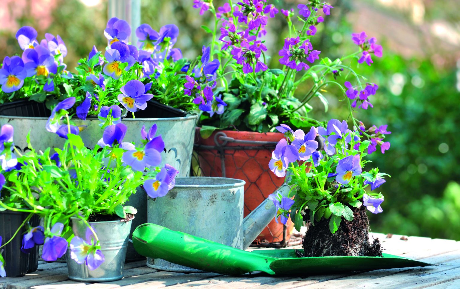 Time for the garden... | What's What Magazine