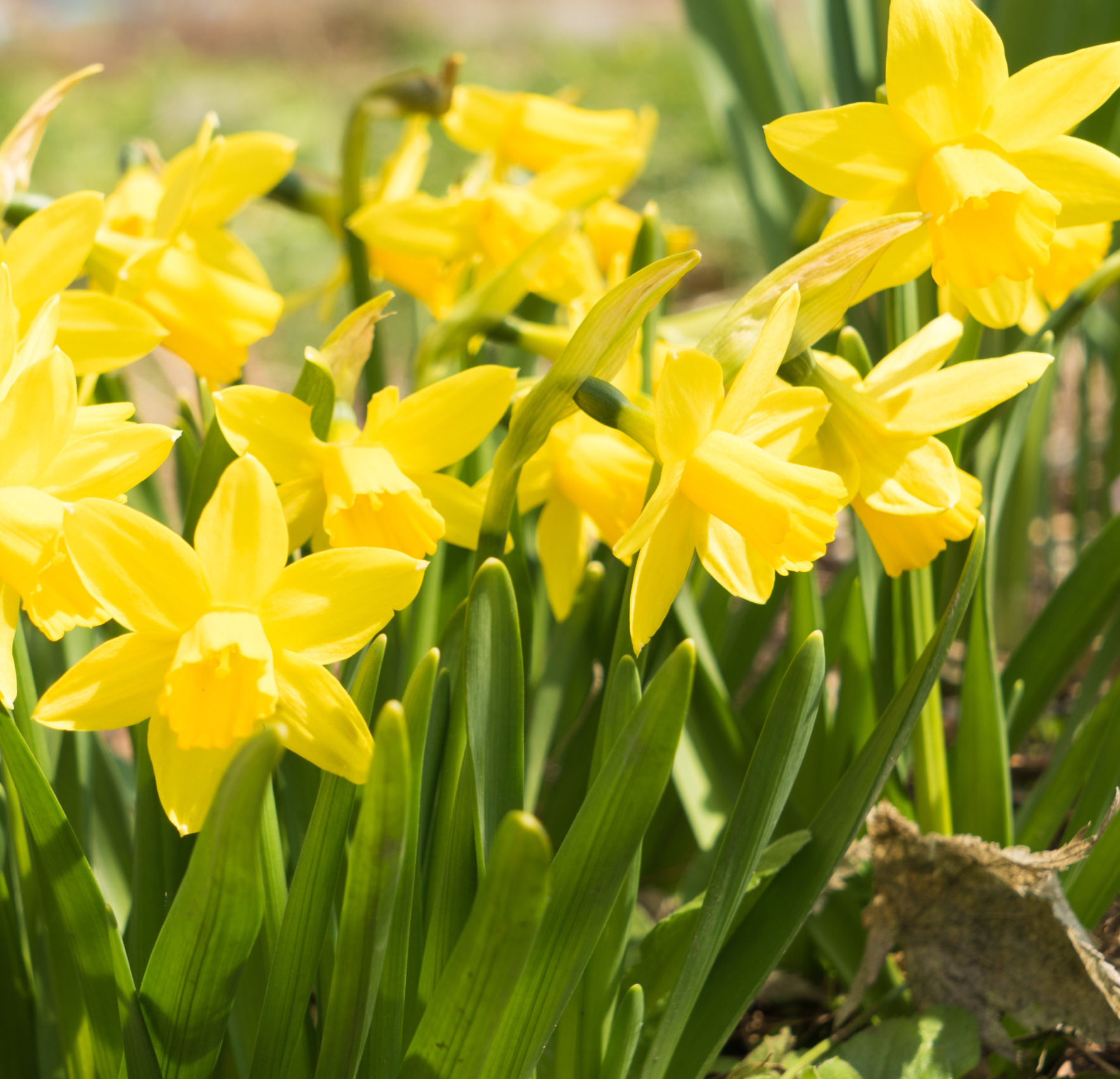 Spring is in the air | What's What Magazine