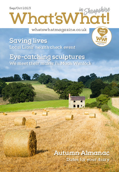 Homepage | What's What Magazine