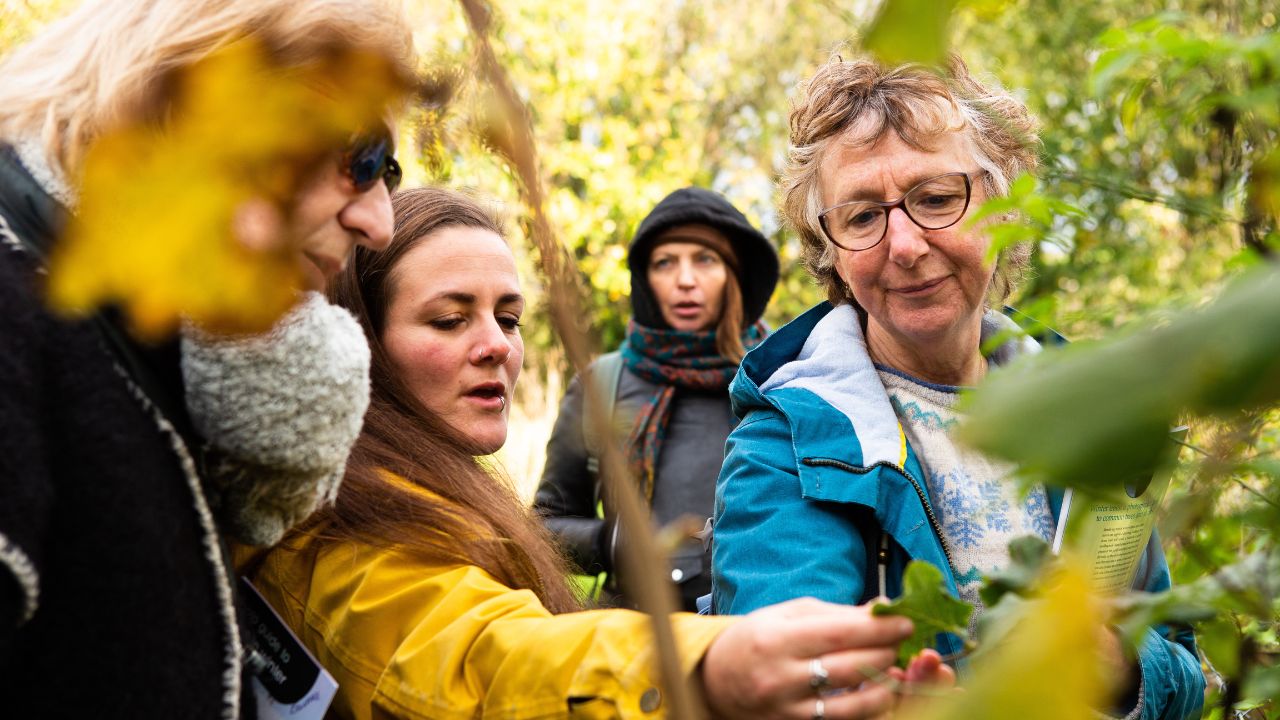 Citizen scientists in biodiversity project | What's What Magazine