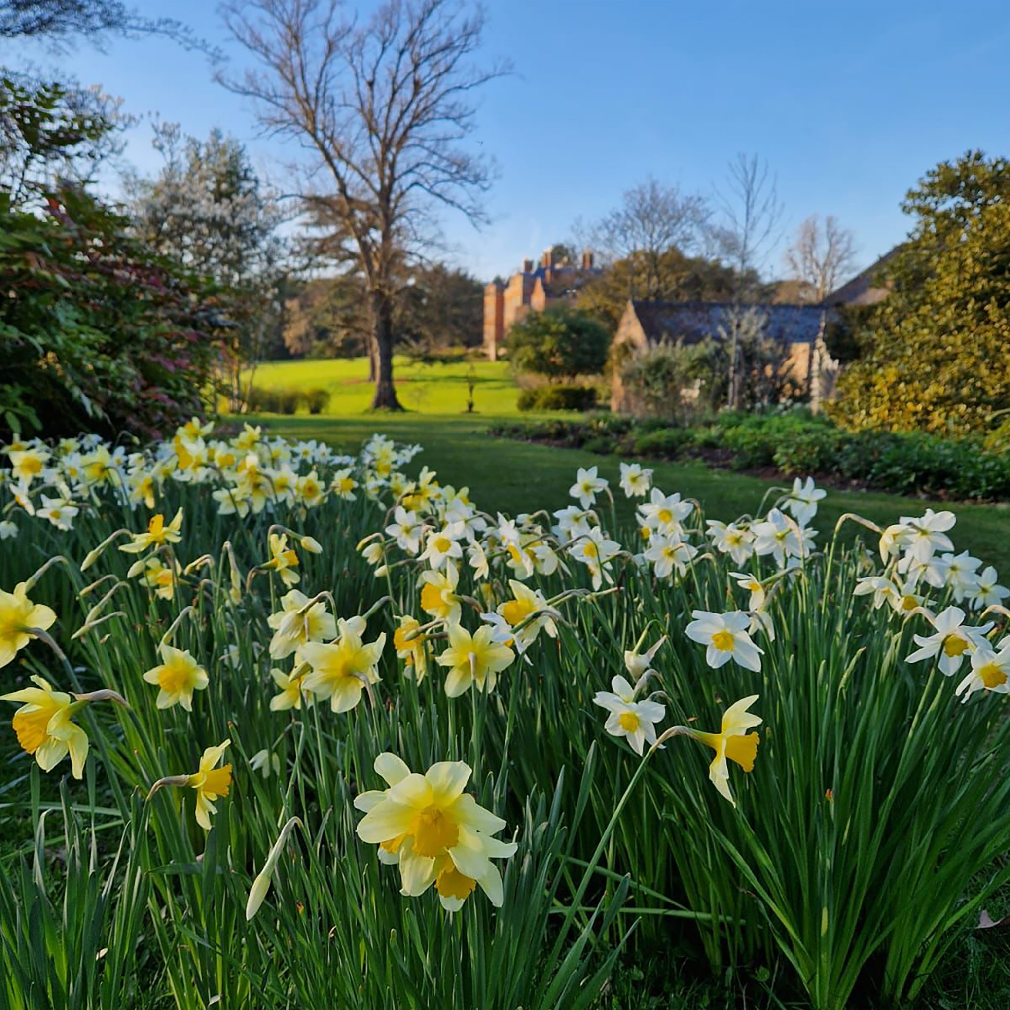 The delights of Dudmaston | What's What Magazine